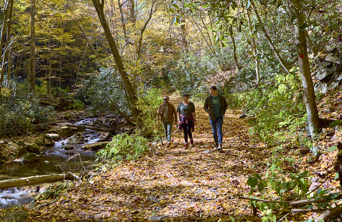 Home - Johnson City Convention & Visitor Bureau