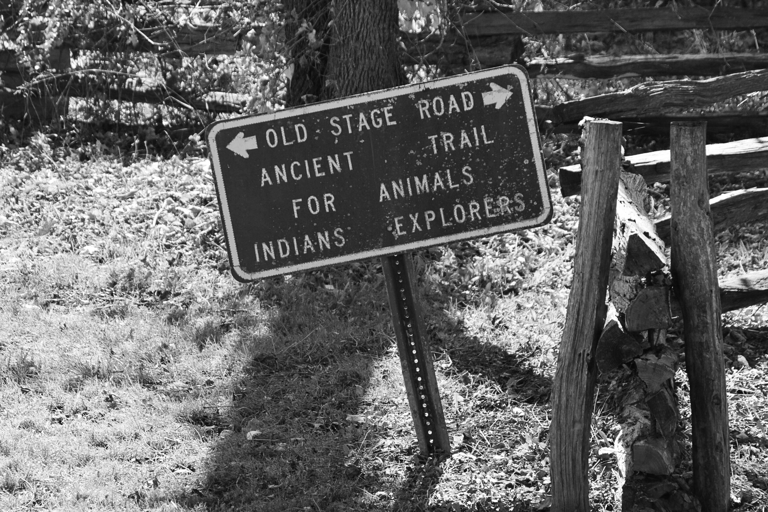 Discover the Pioneering History of Johnson City