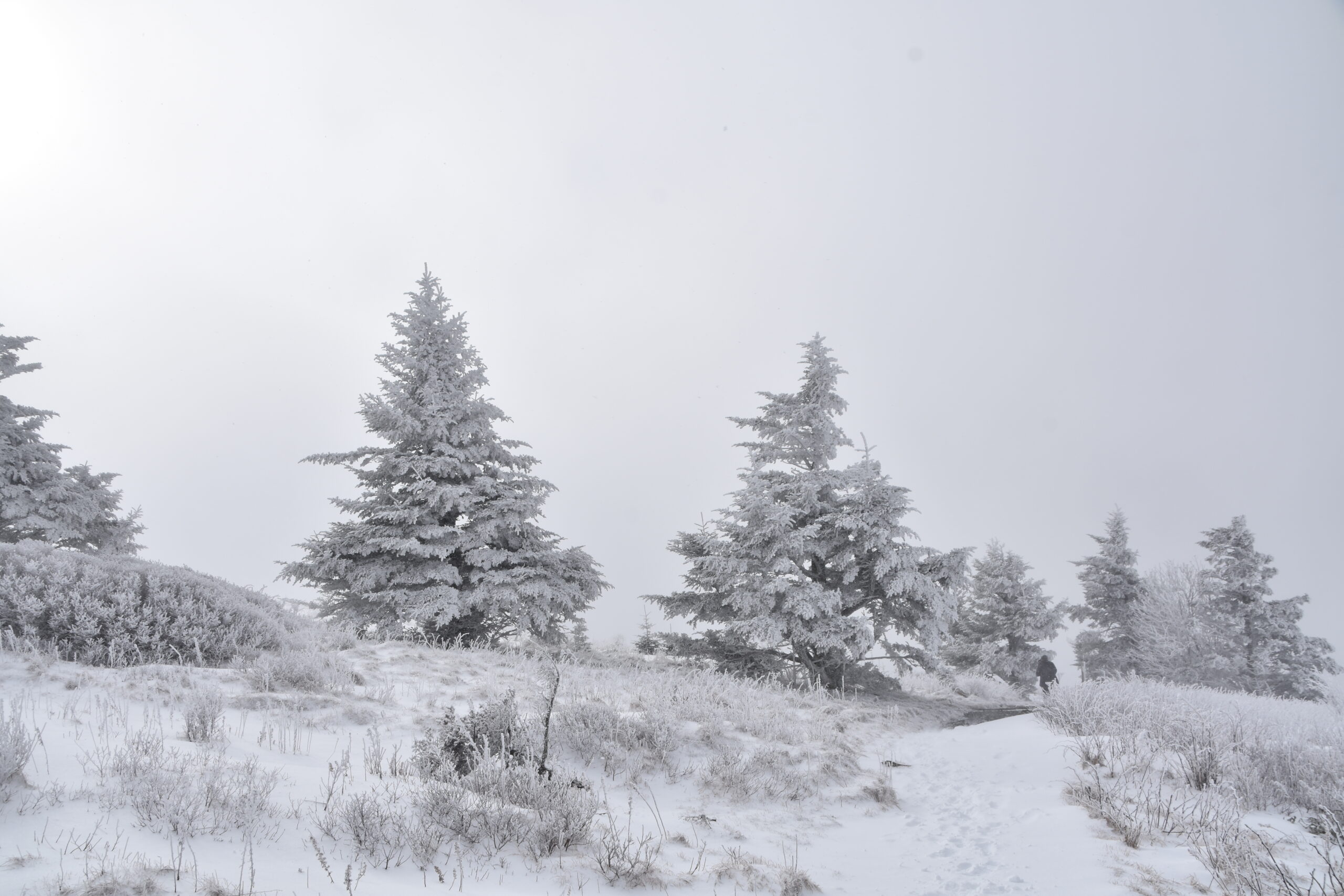 Holiday Experiences - Johnson City Convention & Visitor Bureau